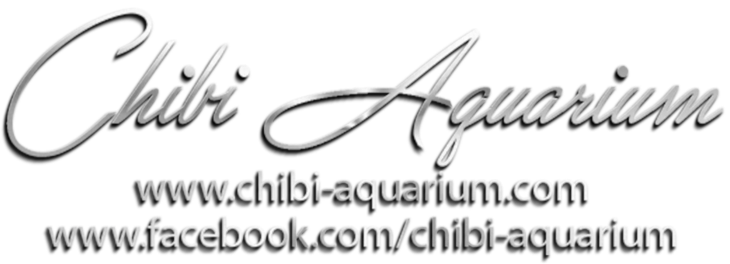 Ich - Prevention and Treatment - Chibi-Aquarium